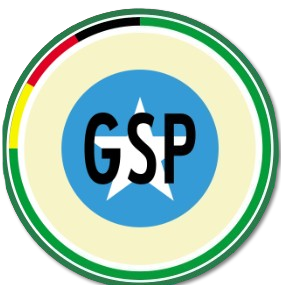 GSP German Somali Professionals